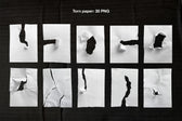 Torn Paper Bundle 85 PNG, PSD – Maria Tokar | Poster Design