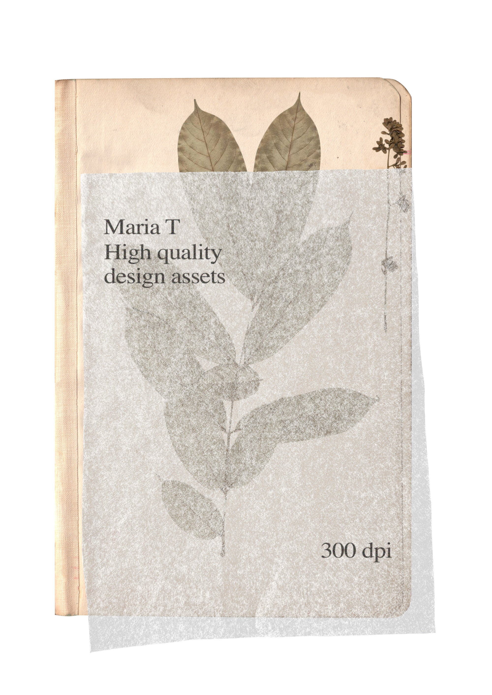 Wrinkled Paper Pack – Maria Tokar | Poster Design
