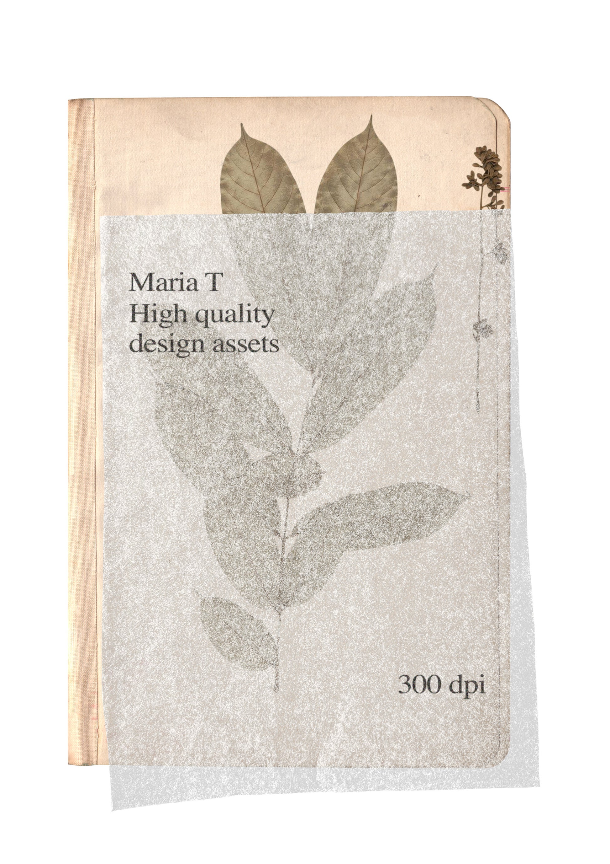 Wrinkled Paper Pack – Maria Tokar | Poster Design